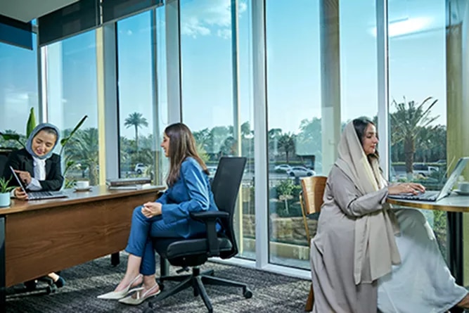 Office space, Virtual Office, Coworking in Riyadh | Laysen Valley
